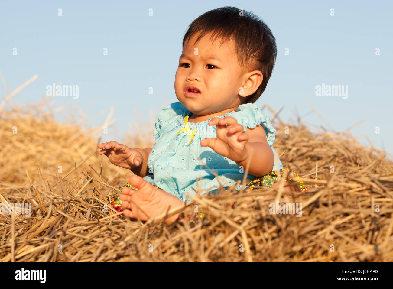cub baby hay straw child girl girls toddler asia portrait asiatic ...