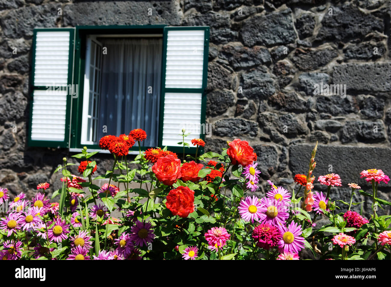 house building garden flower rose plant window porthole dormer window ...