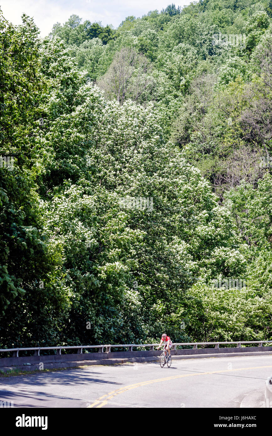 Blue ridge parkway biking hi-res stock photography and images - Alamy