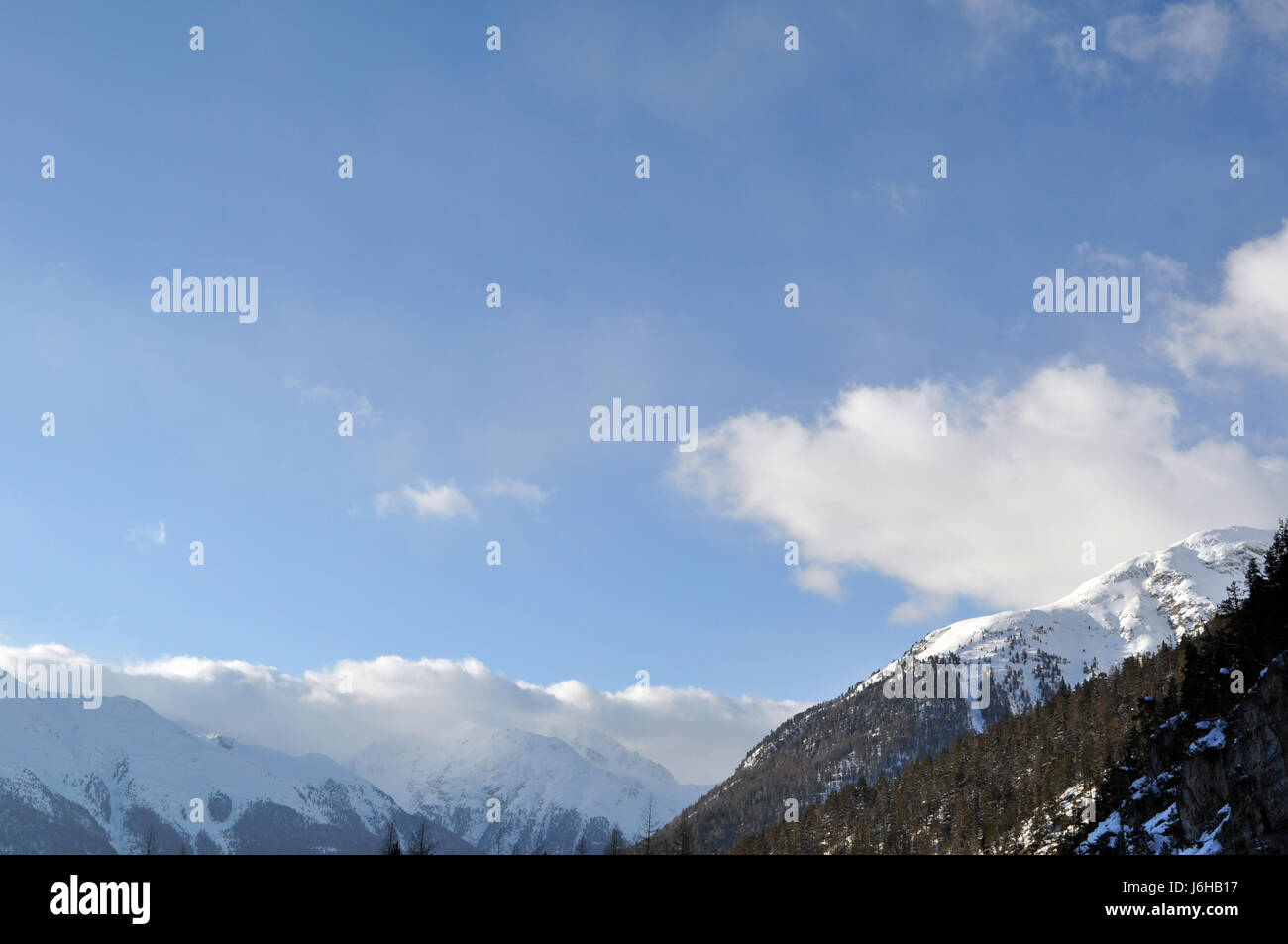 tree trees alps snow coke cocaine material drug anaesthetic addictive ...