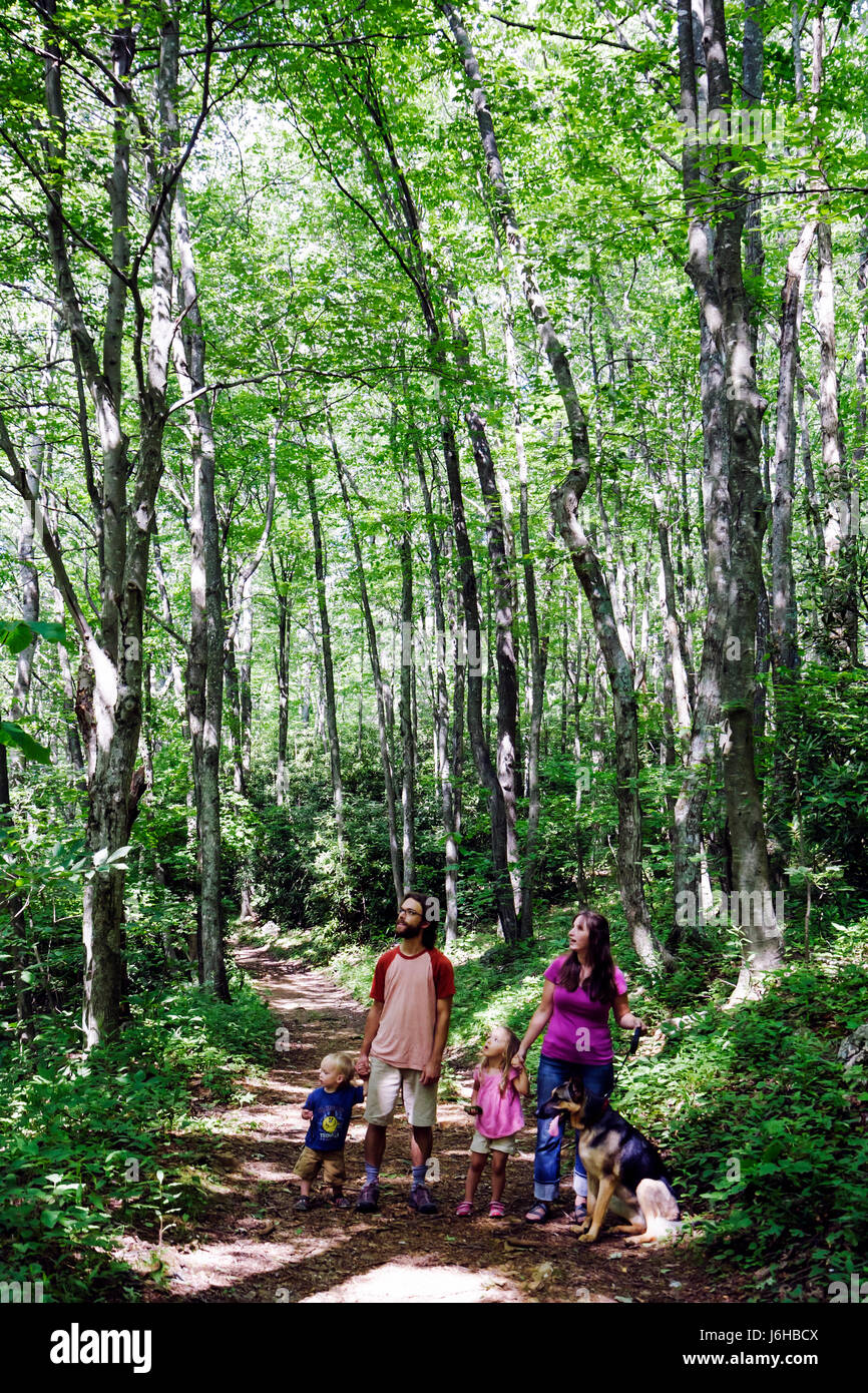 Blue Ridge Parkway Virginia,Appalachian Mountains,Rocky Knob Cabins ...