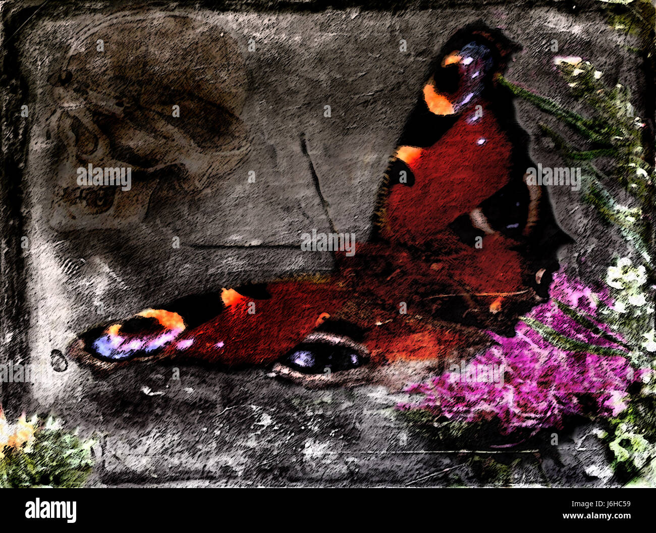 Butterfly of death hi-res stock photography and images - Alamy