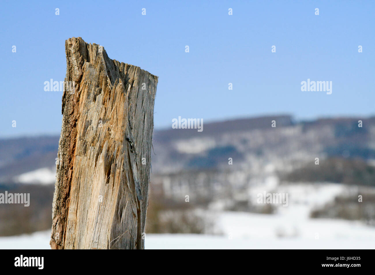 wood trunk post tree winter trunk flora plant defect stanchion splinter ...