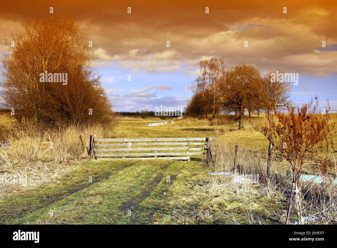 geschlosses wooden gate to a pasture Stock Photo - Alamy