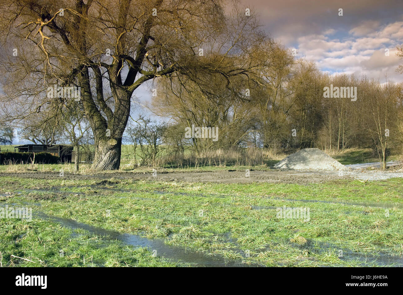 green spring meadow with condensation Stock Photo - Alamy