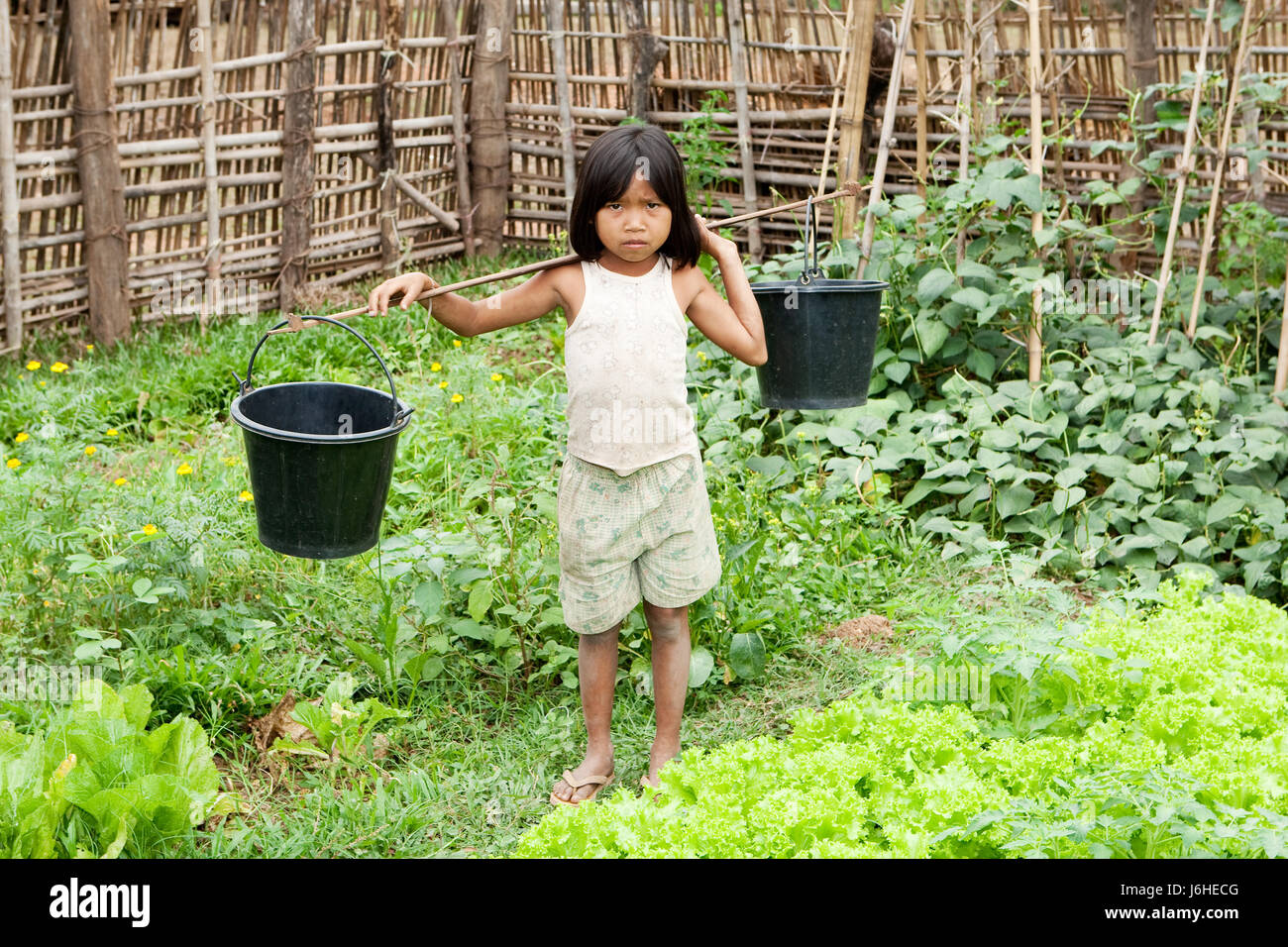 Fetches hi-res stock photography and images - Alamy