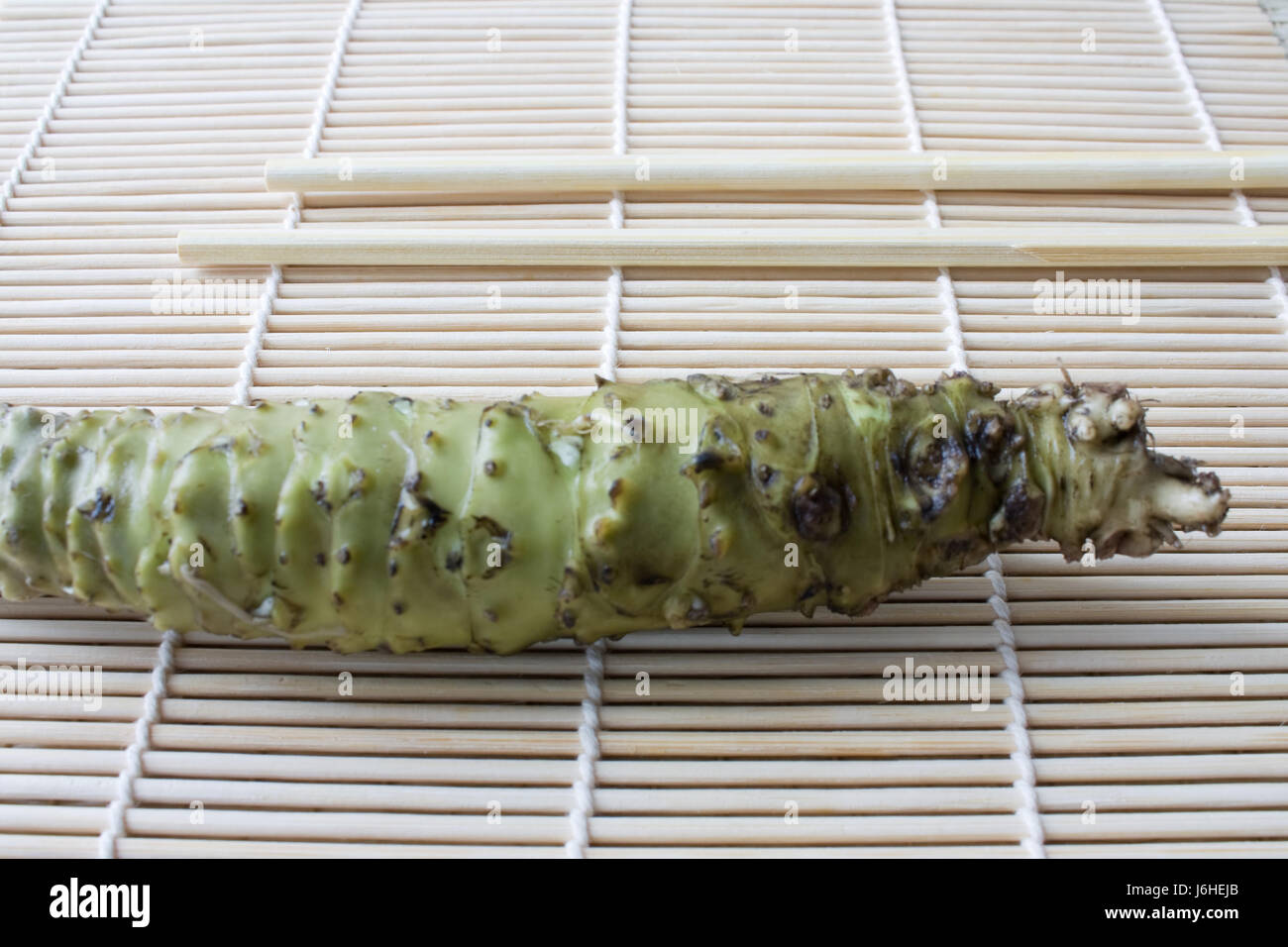 spice root japanese stick fresh plant spice root japanese stick fresh ...