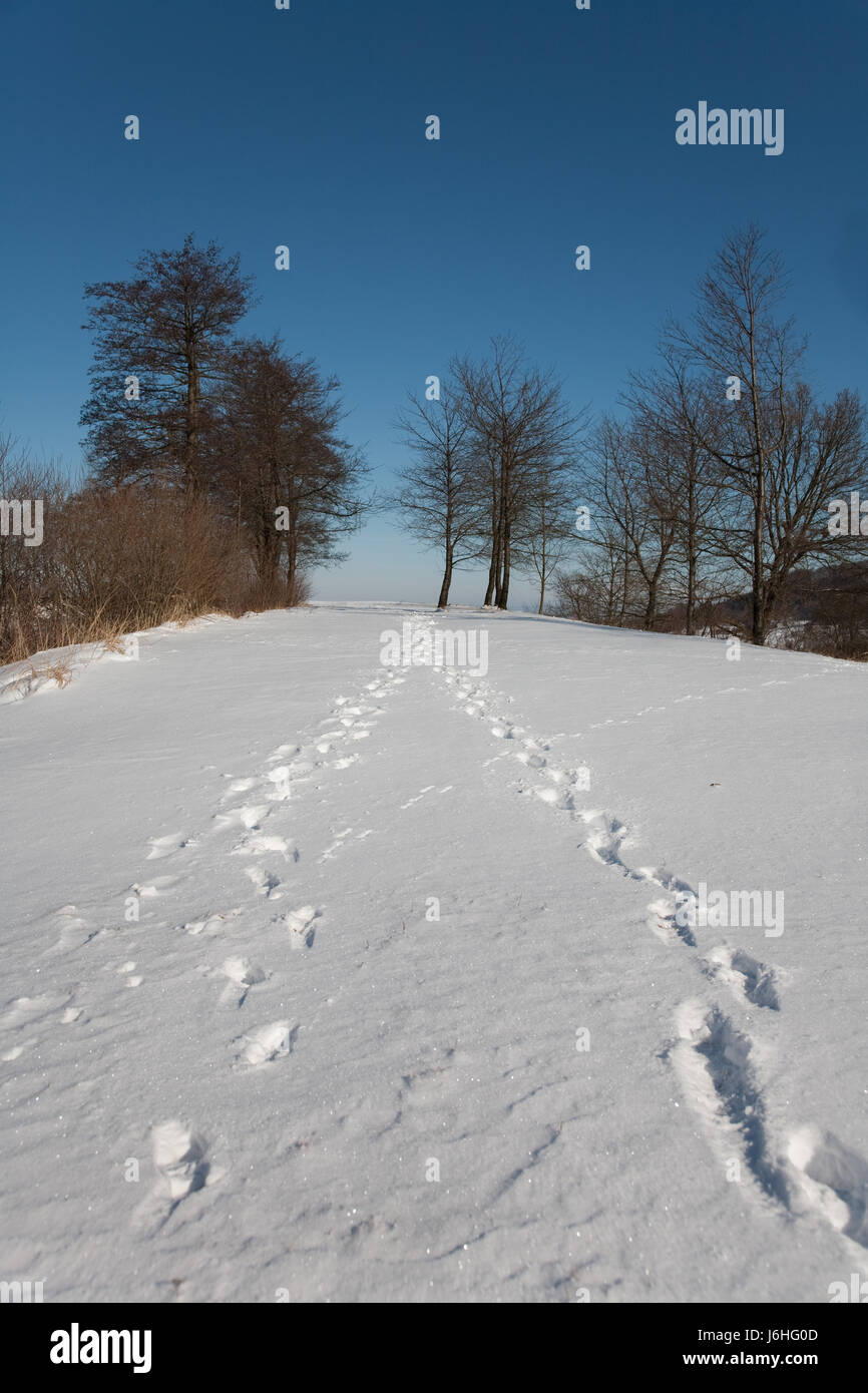 winter cold sense season snow tracks footprints footmarks winter cold ...