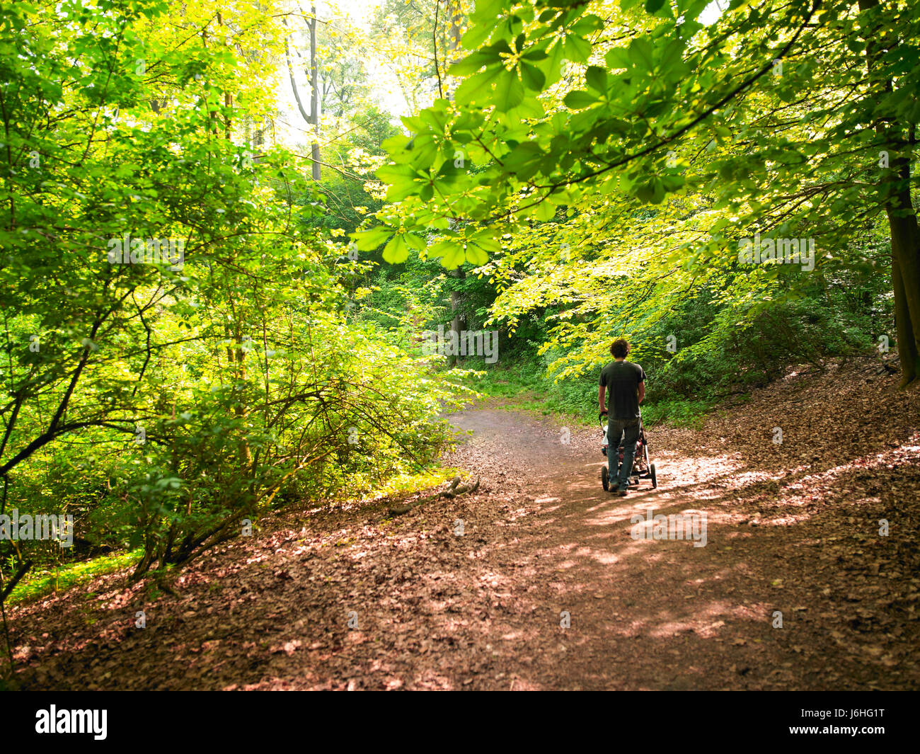 humans human beings people folk persons human human being walk go going ...