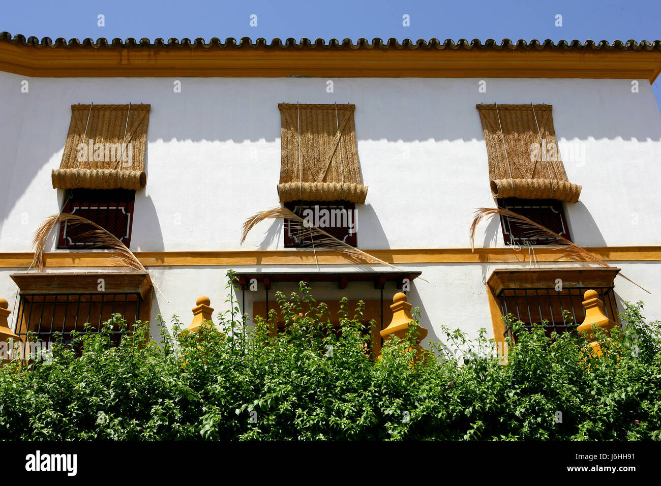 Blinds alfa hi-res stock photography and images - Alamy