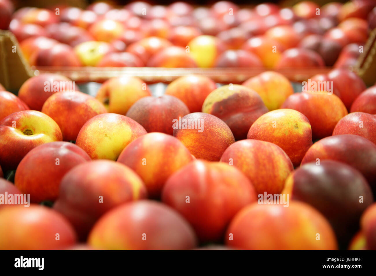 food,aliment,horizontal,fruit,display of nectarines,nectarines Stock ...