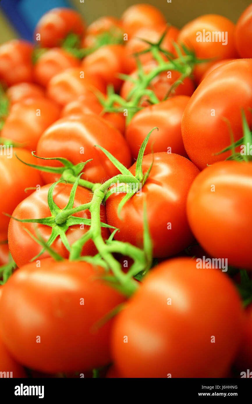 food,aliment,vertical,cluster,display of red tomatoes,round fruit Stock ...