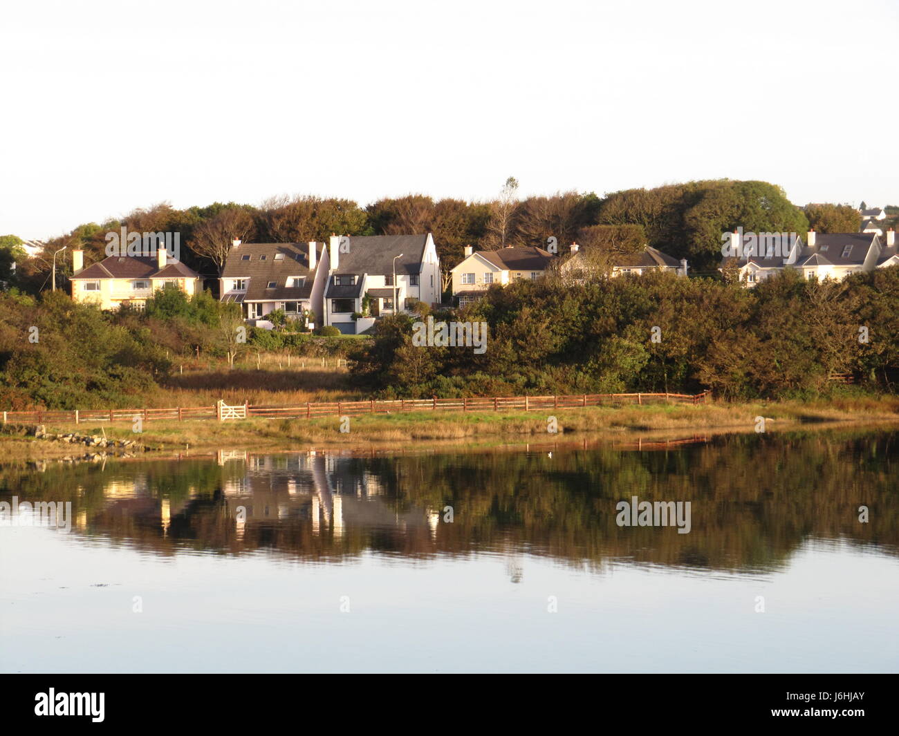 tree trees reflection still landscape scenery countryside nature lawn ...