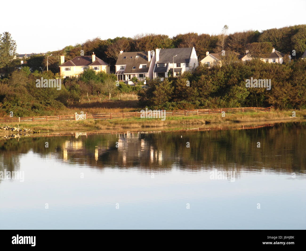 tree trees reflection still landscape scenery countryside nature lawn ...