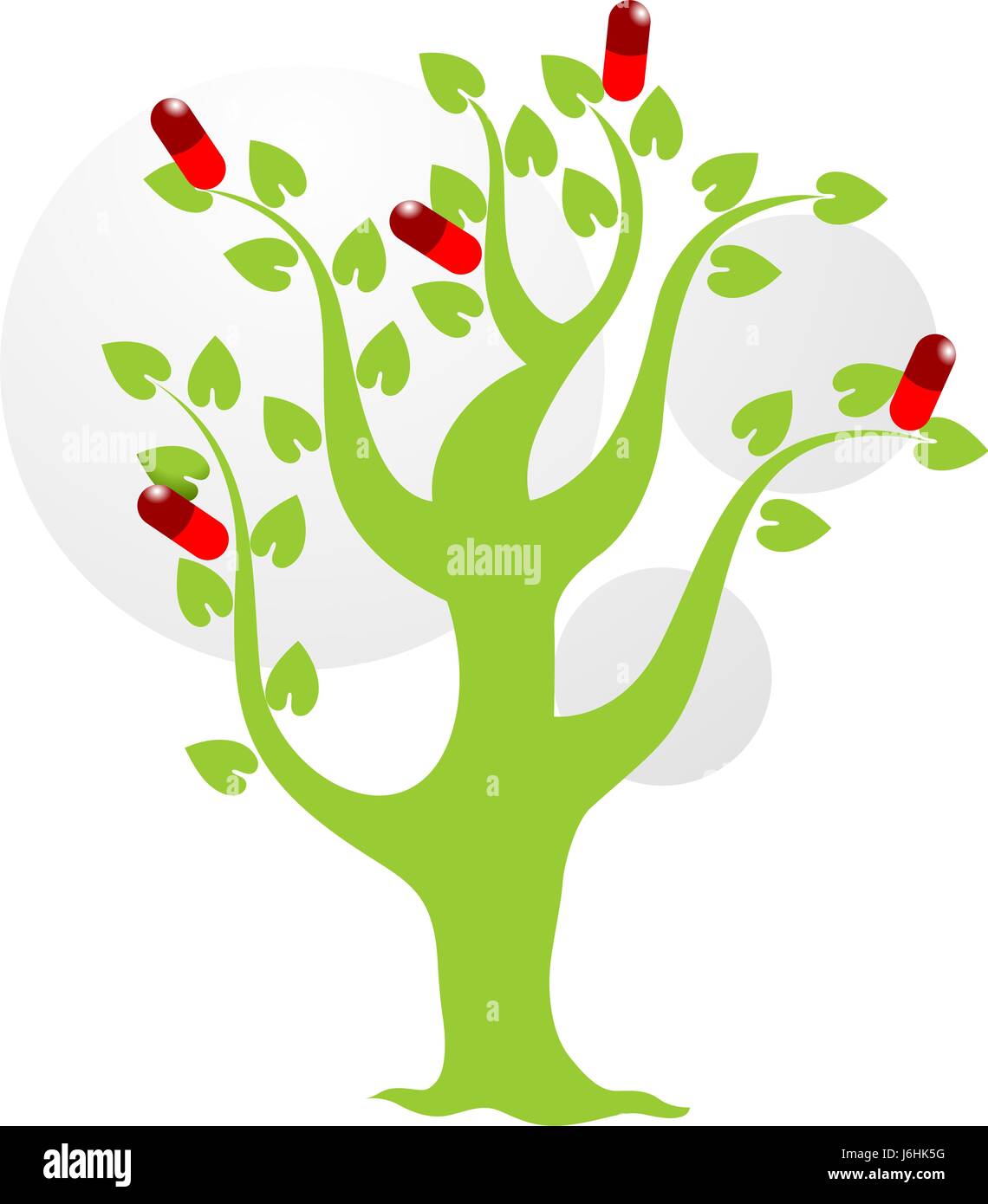 leaf colour tree branch capsule plant isolated botany illustration ...