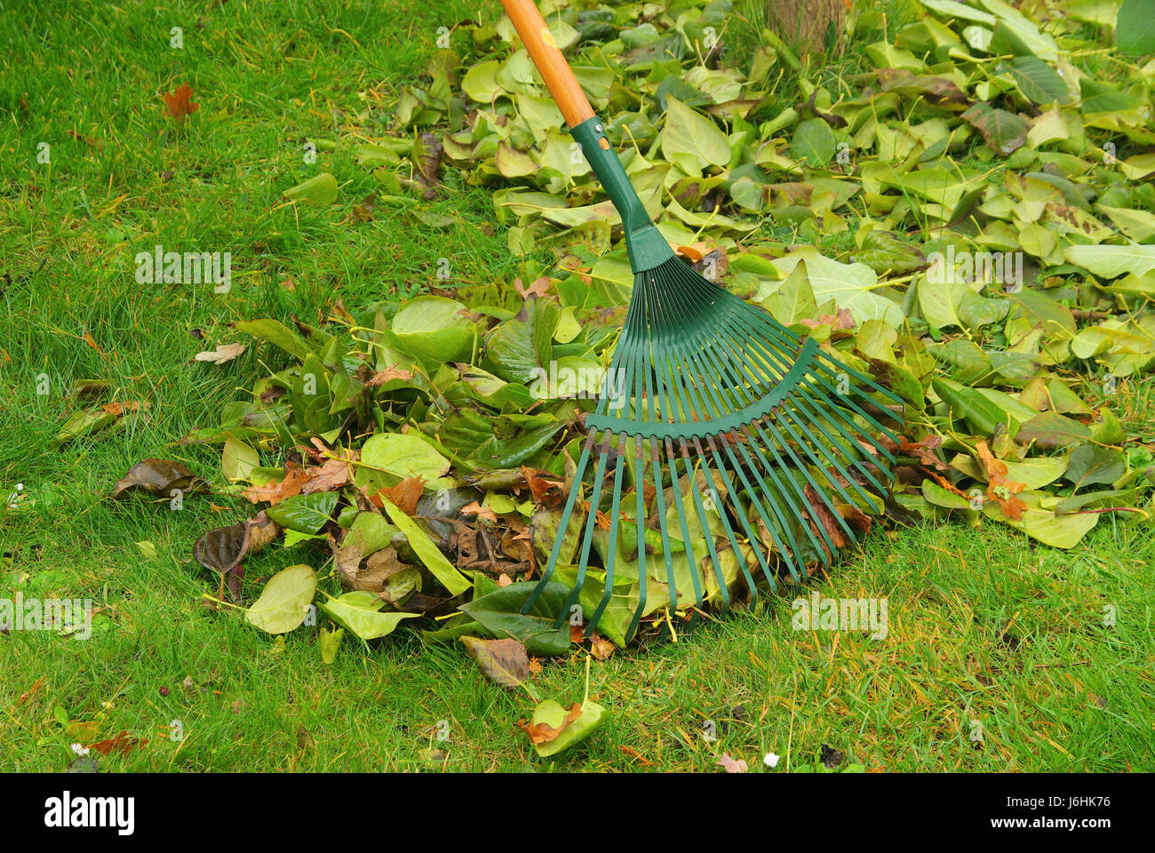 leaf garden gardens rake leaves foliage fall autumn leaf park garden ...