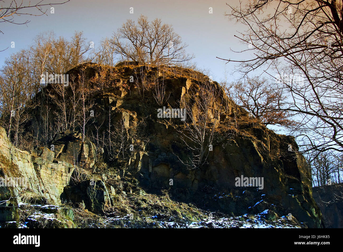 stone conservation of nature rock quarry geology boulder tree trees ...