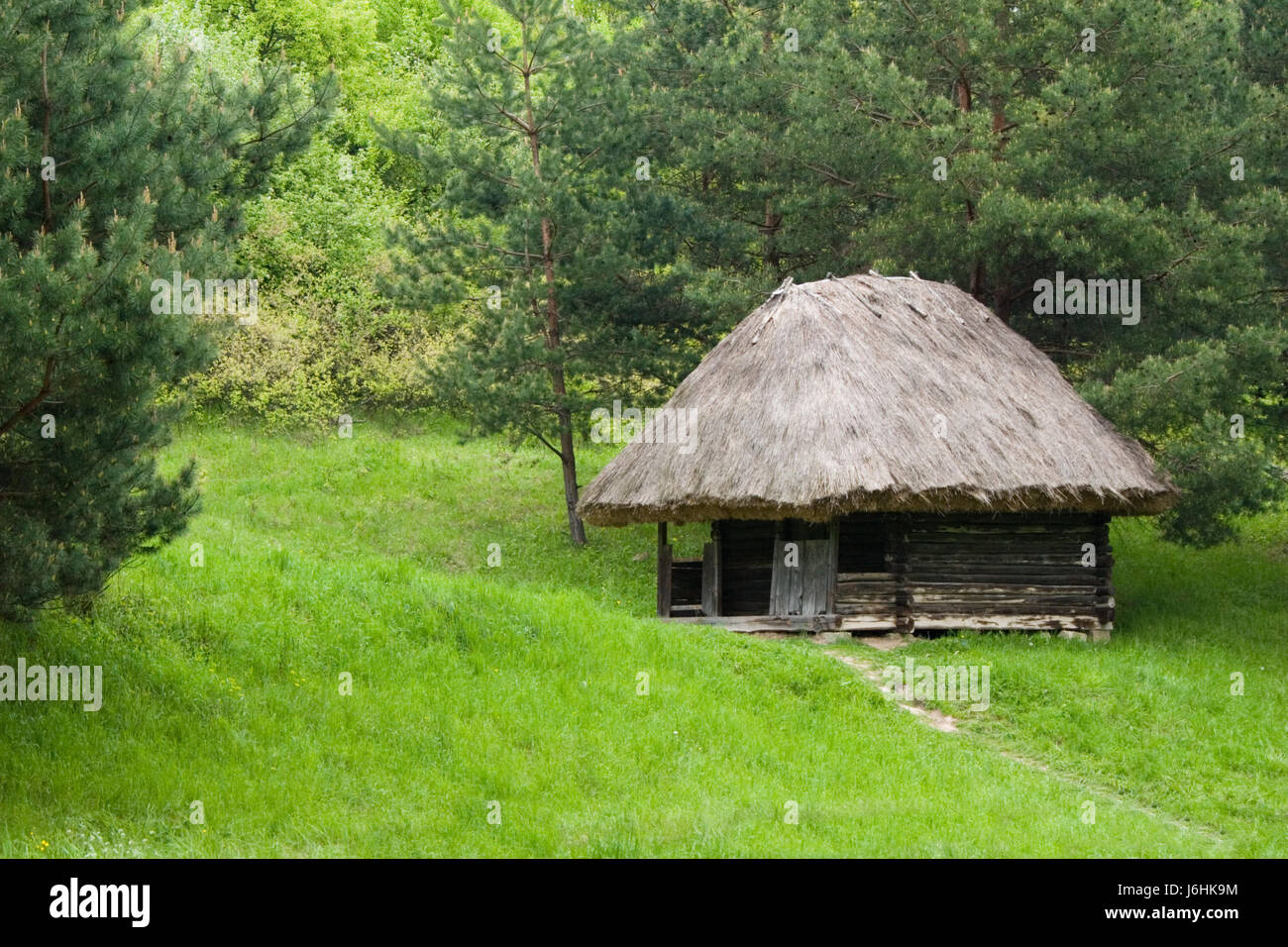 wood old hut house building tree wood wild rough summer summerly small ...