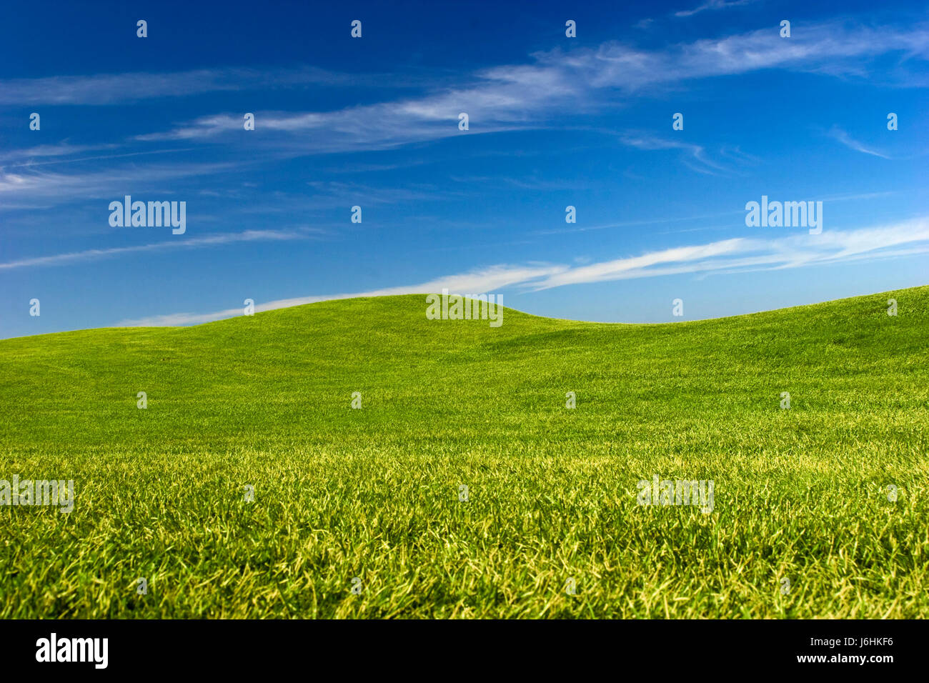 beautiful beauteously nice field spring landscape scenery countryside ...