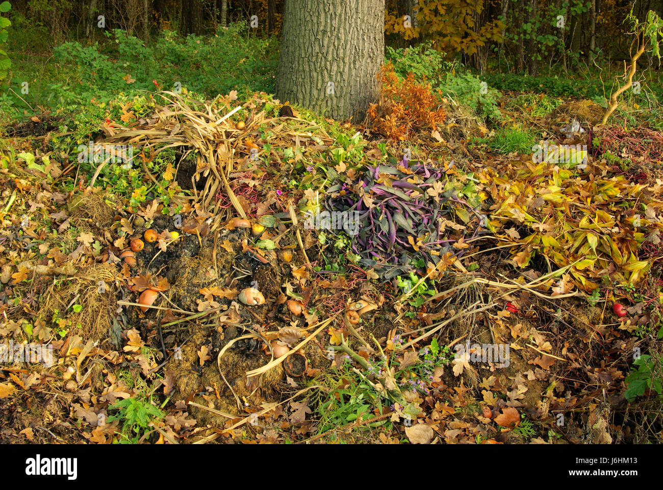compost gate decay rot compost heap heap pile eco garden biological ...