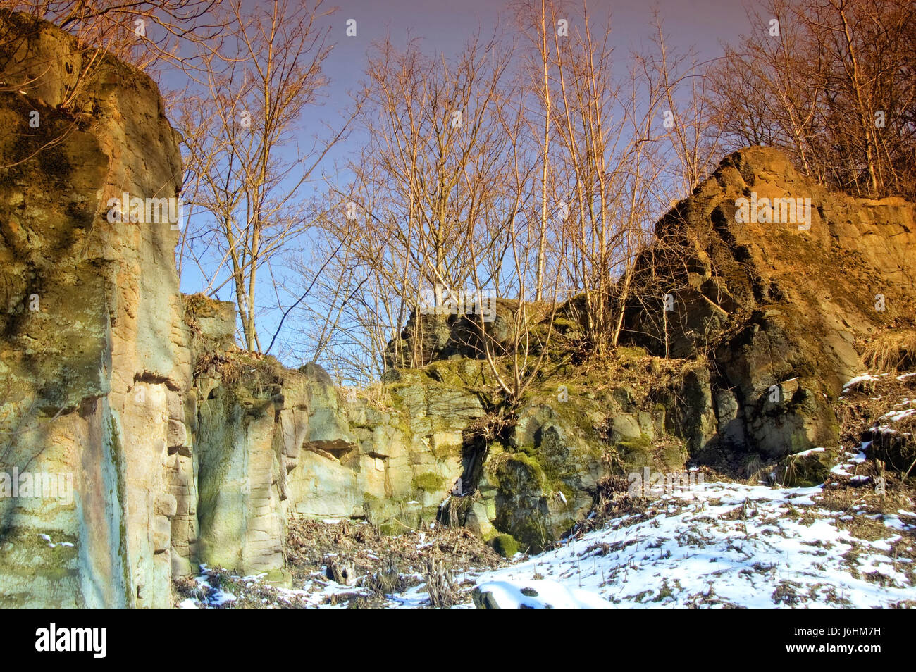 stone conservation of nature rock quarry geology boulder tree trees ...