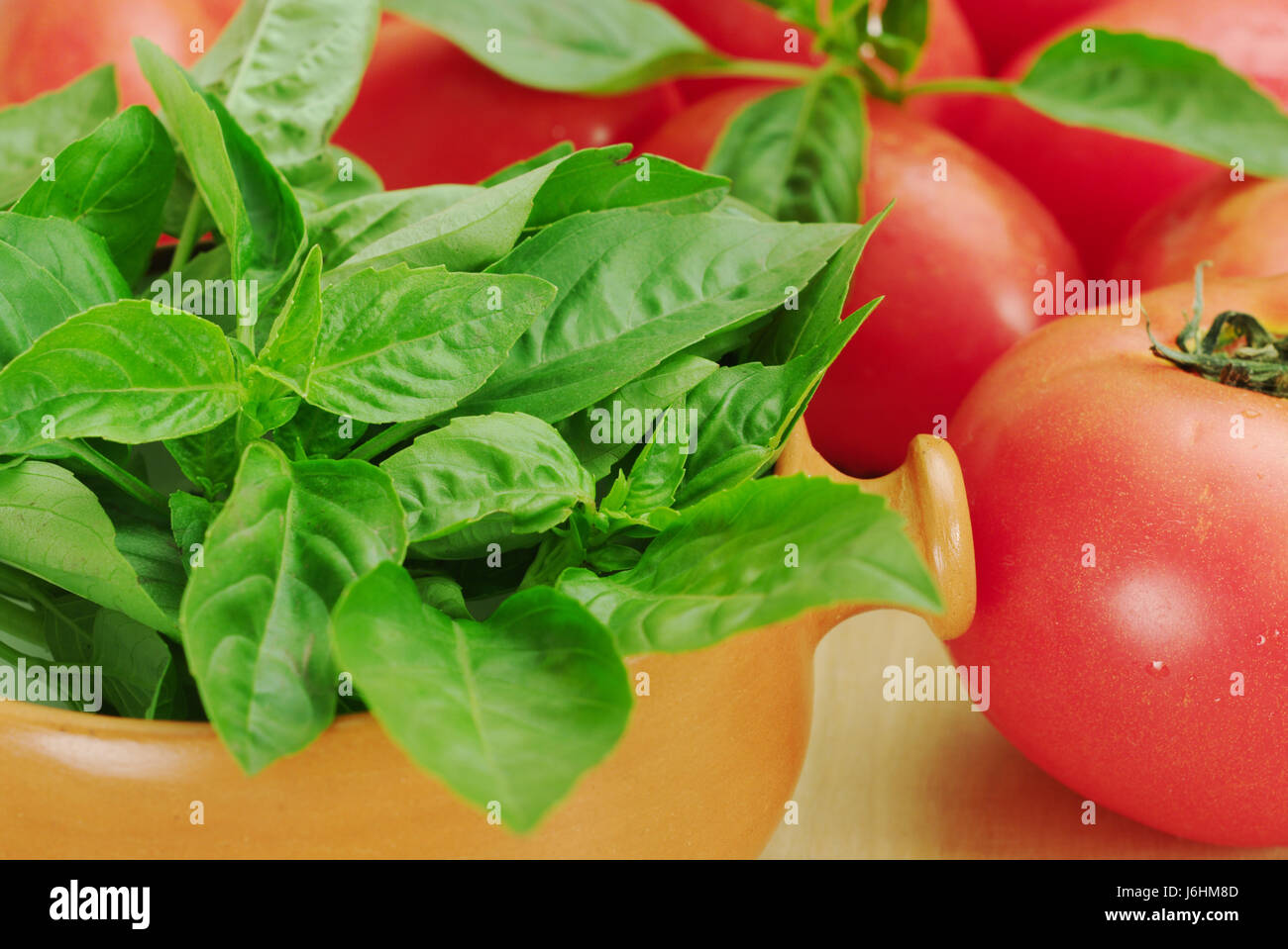 basil with tomato Stock Photo - Alamy