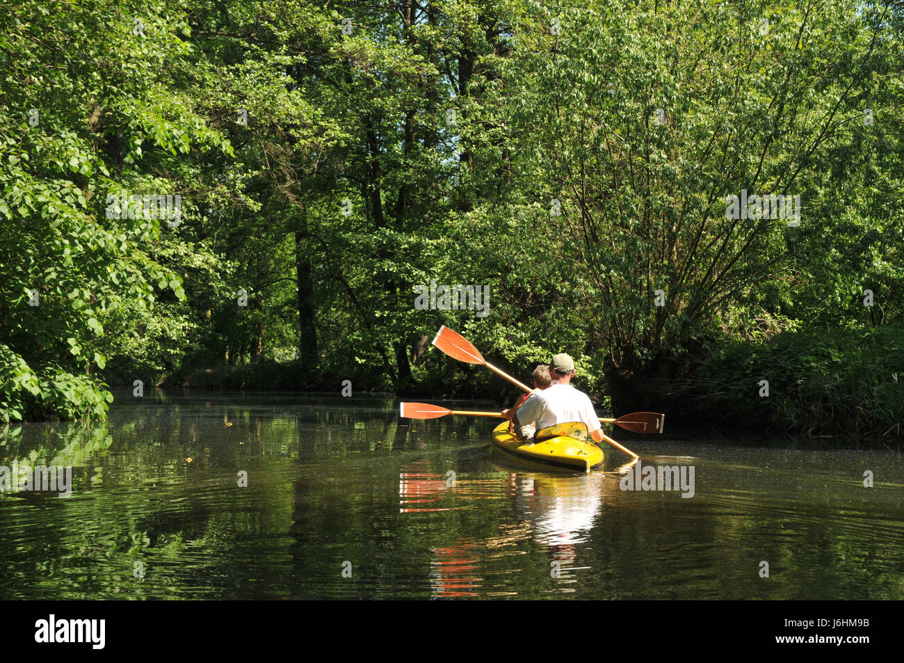 woman paddle canoe couple pair spreewald rowing boat sailing boat ...