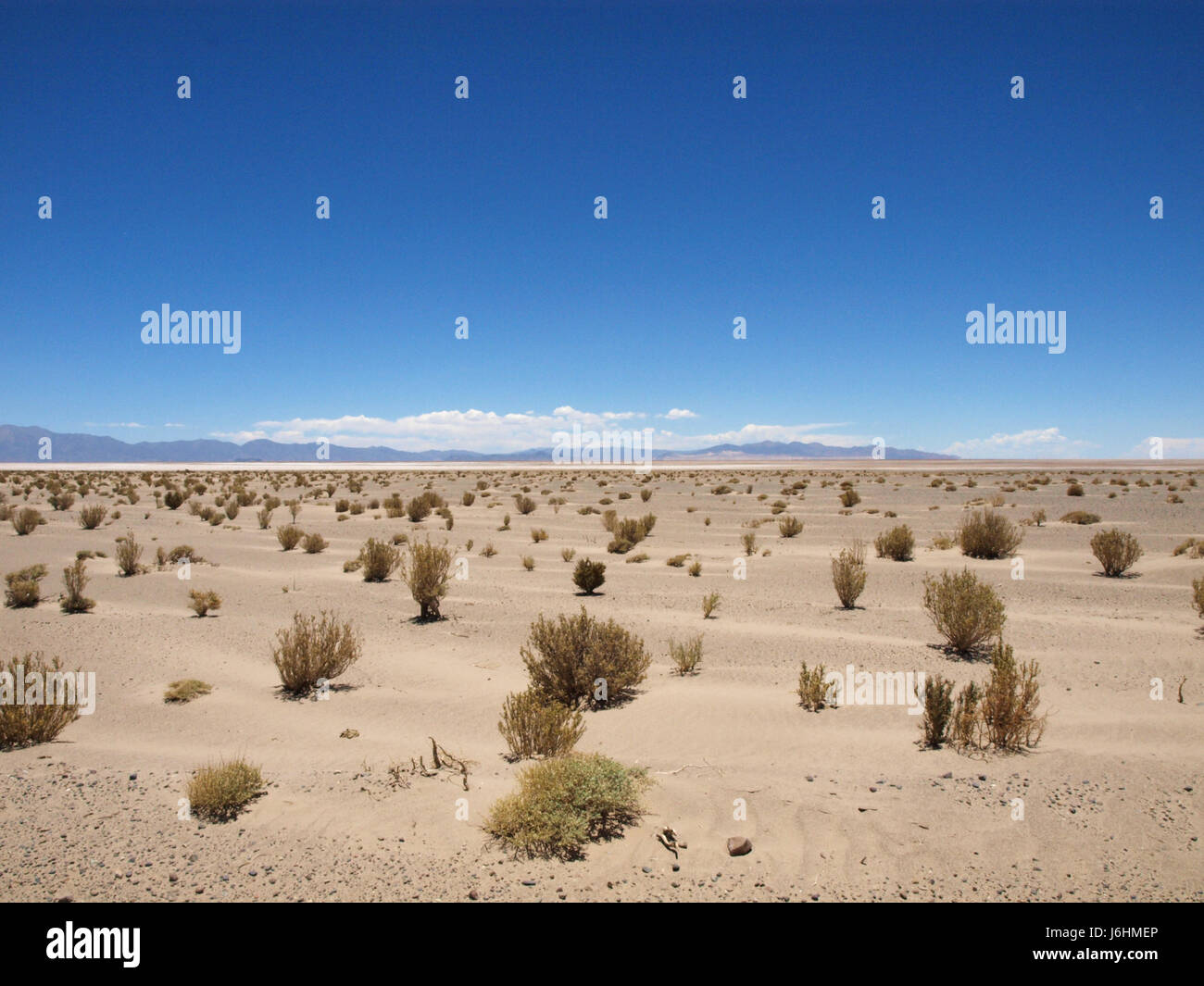 desert wasteland wild hot dry dried up barren landscape scenery ...