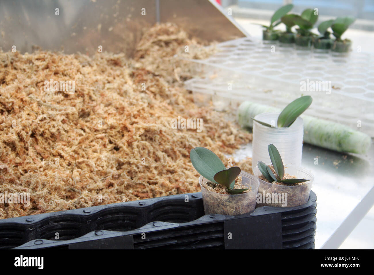 industry agriculture farming technology laboratory biotechnology ...
