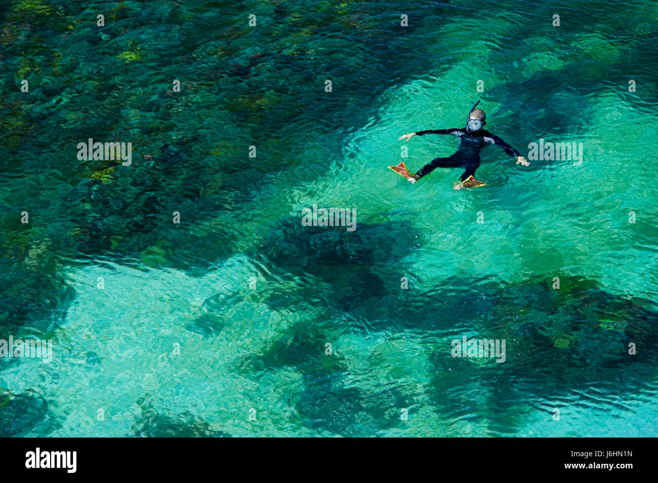 blue humans human beings people folk persons human human being travel ...