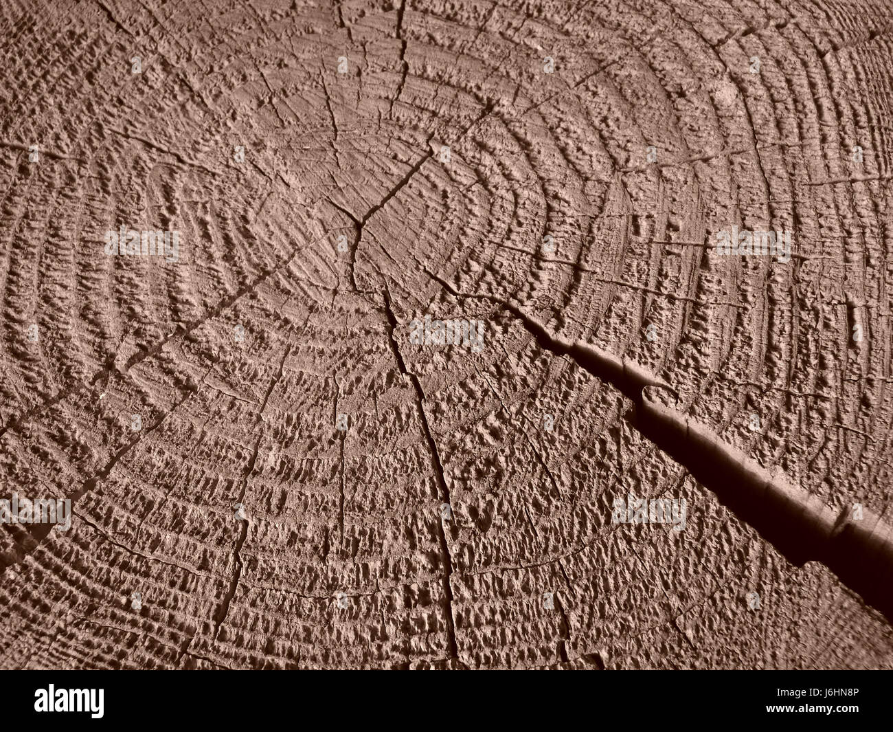 model design project concept plan draft tree wood trunk date time time ...