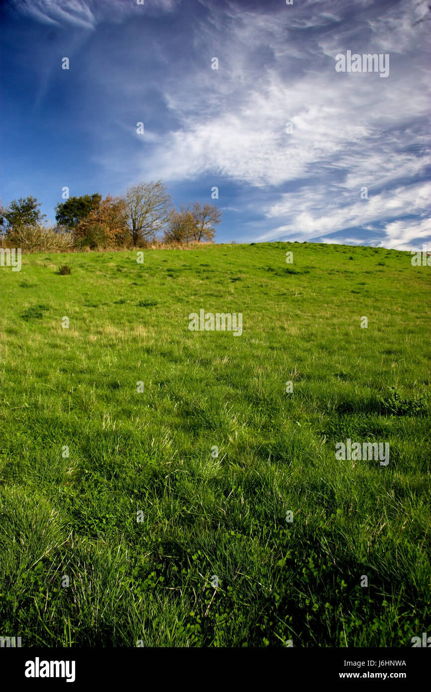 blue beautiful beauteously nice environment enviroment horizon ...