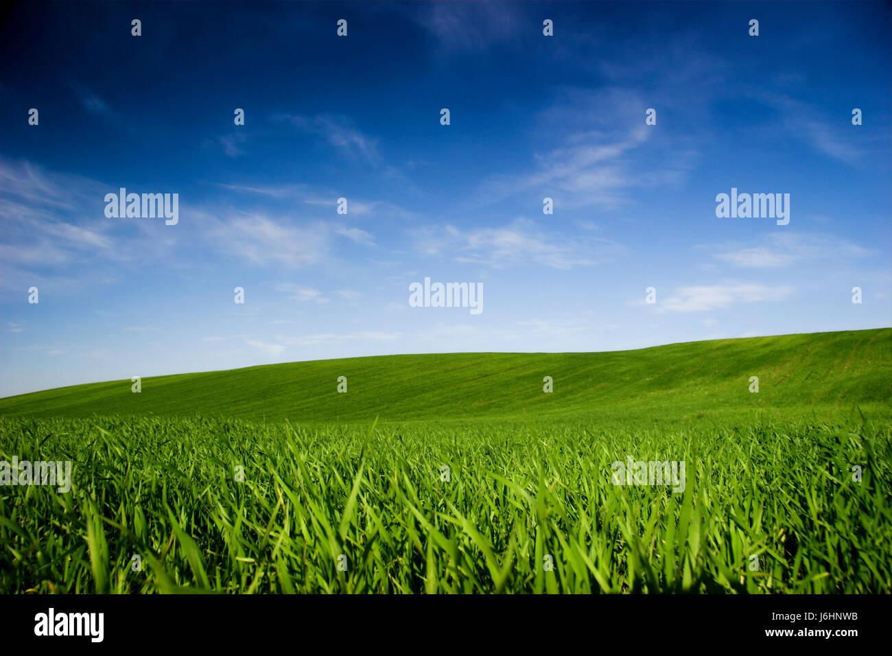 blue beautiful beauteously nice environment enviroment horizon ...