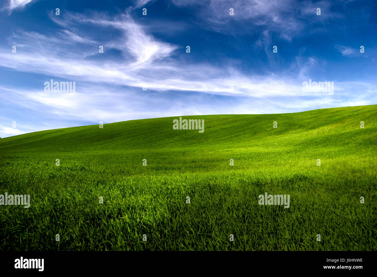 blue beautiful beauteously nice environment enviroment horizon ...