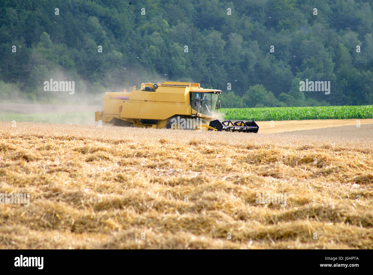 culture agriculture farming field landscape scenery countryside nature ...