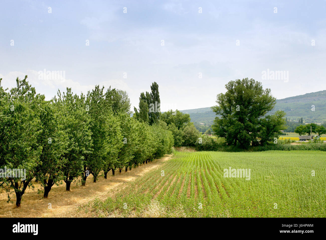 culture agriculture farming field emblements seeds landscape scenery ...