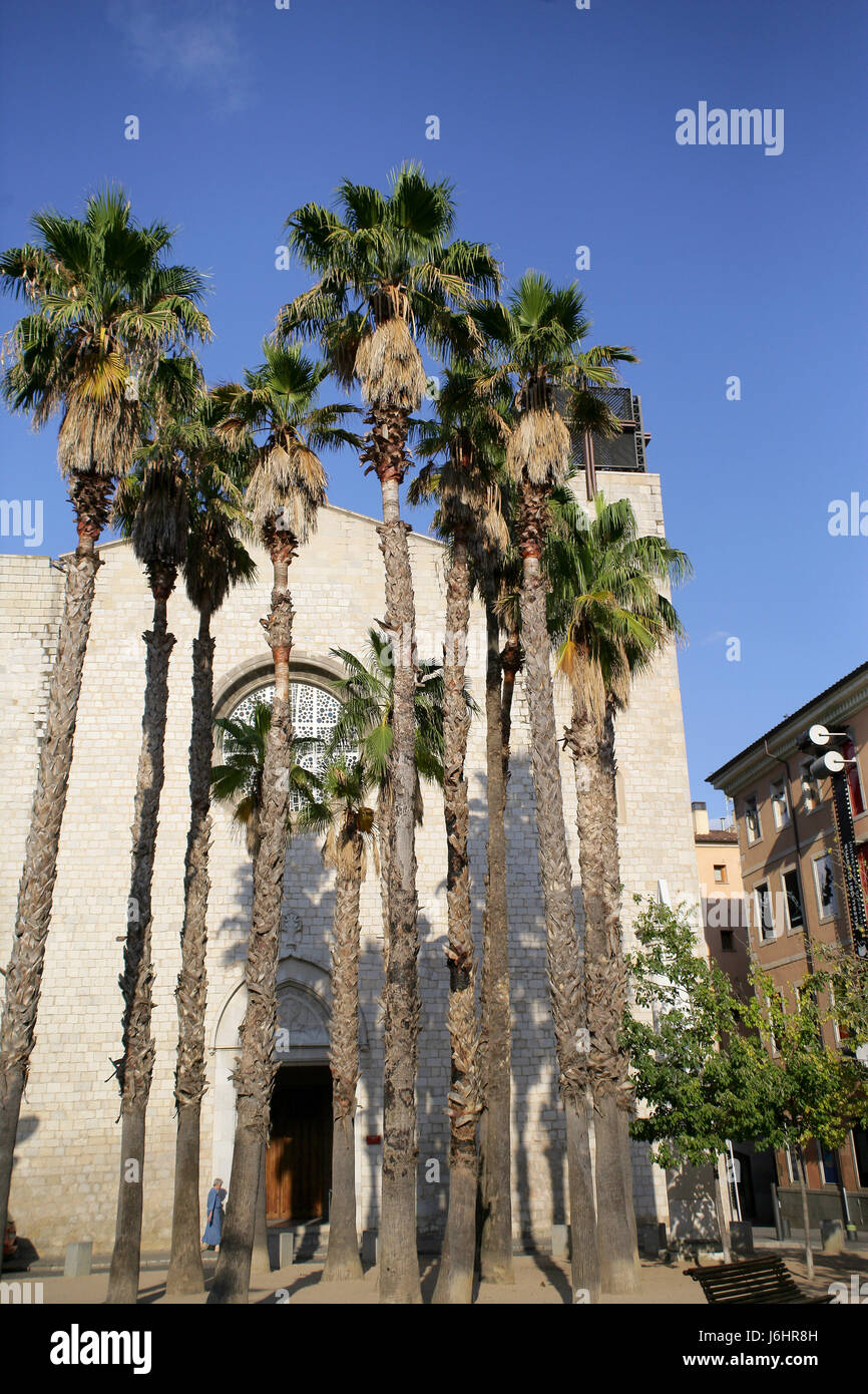 religious church city town monument tree trees spain facade palm ...
