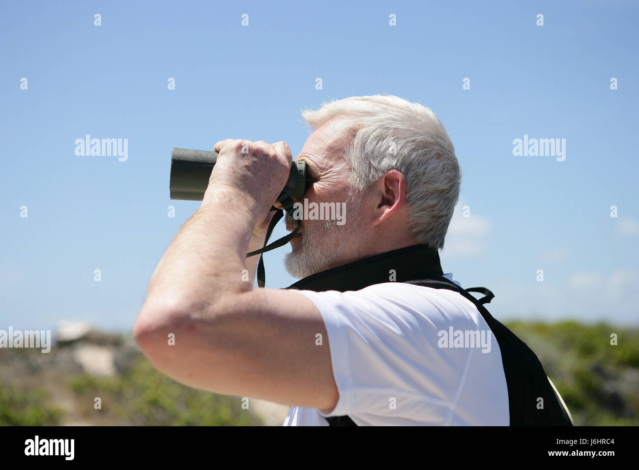 profile relaxation summer summerly blank european caucasian relaxed ...