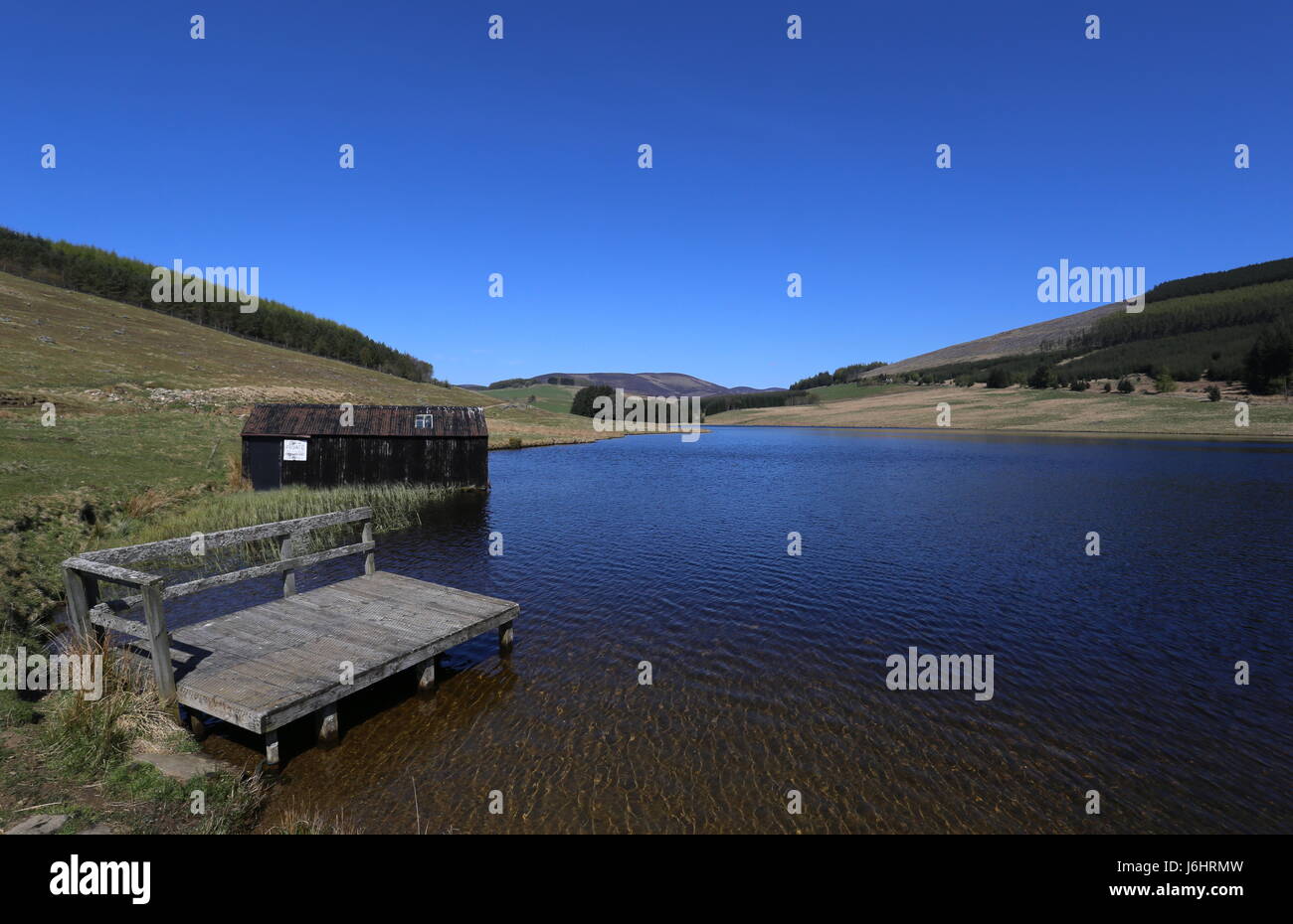 Shandra hi-res stock photography and images - Alamy