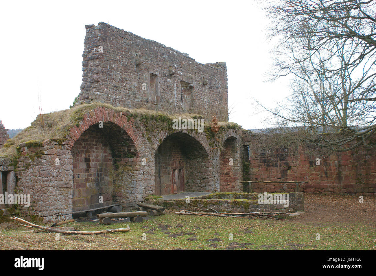 Wildberg castle hi-res stock photography and images - Alamy