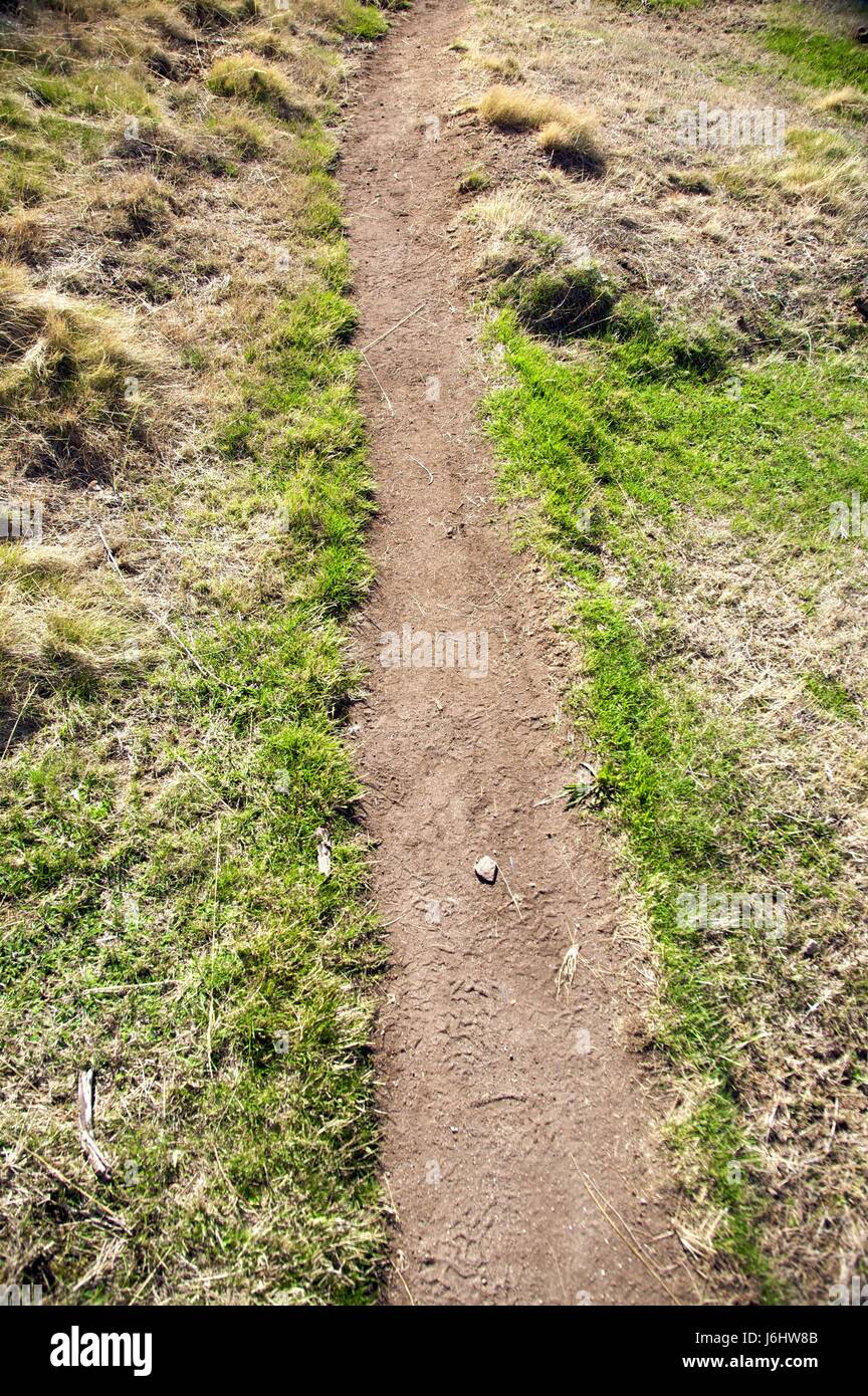 ground soil earth humus land track footmark footprint curve path way ...