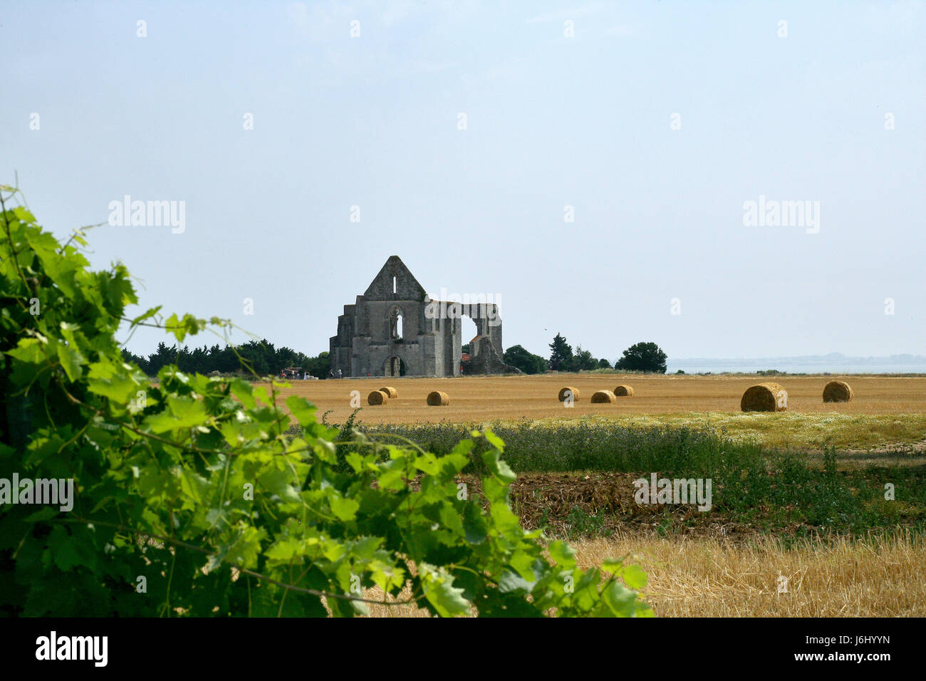 culture agriculture farming ruins abbey overview scenery countryside ...