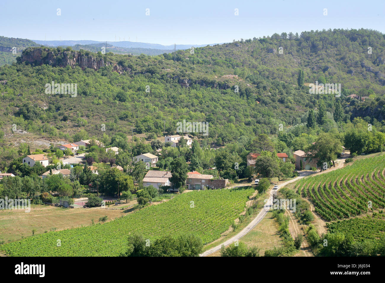 culture vineyard vines overview viticulture wineyard landscape scenery ...