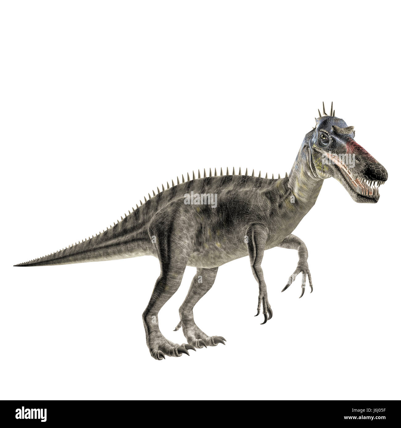 suchomimus isolated on white background Stock Photo - Alamy