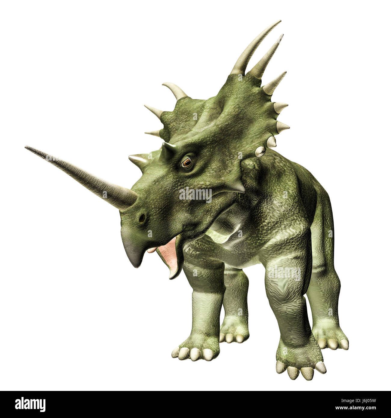 Styracosaurus isolated on white background Stock Photo - Alamy