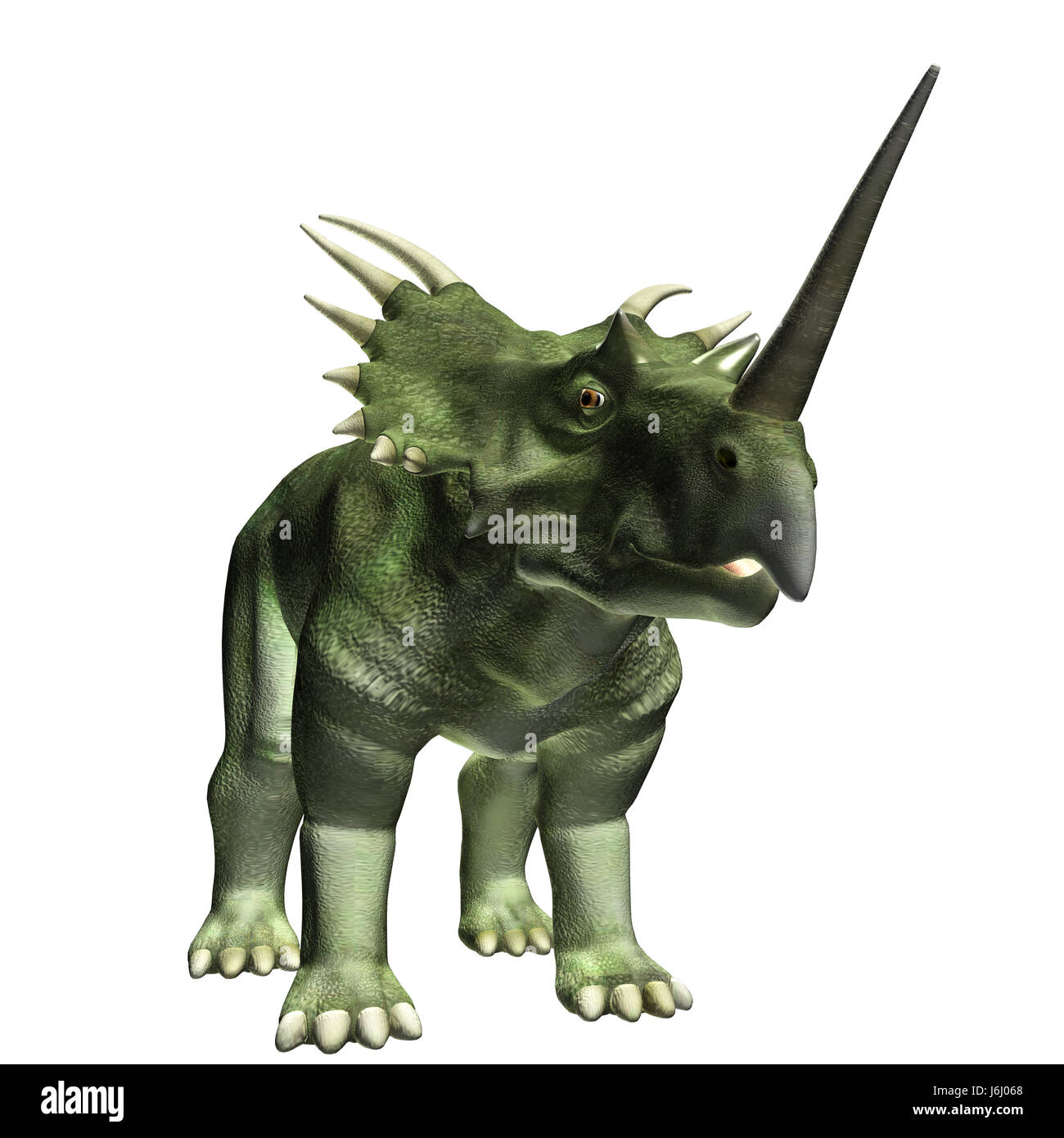 Styracosaurus isolated on white background Stock Photo - Alamy
