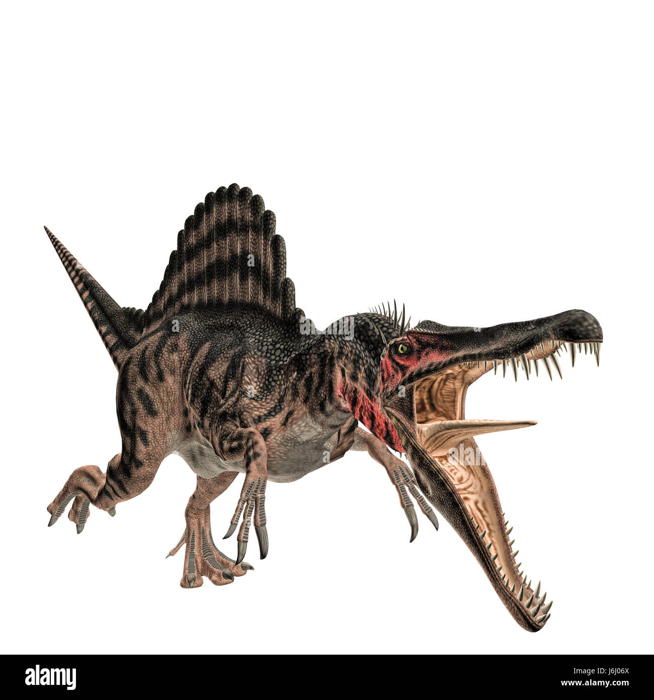 Spinosaurus isolated on white background Stock Photo - Alamy