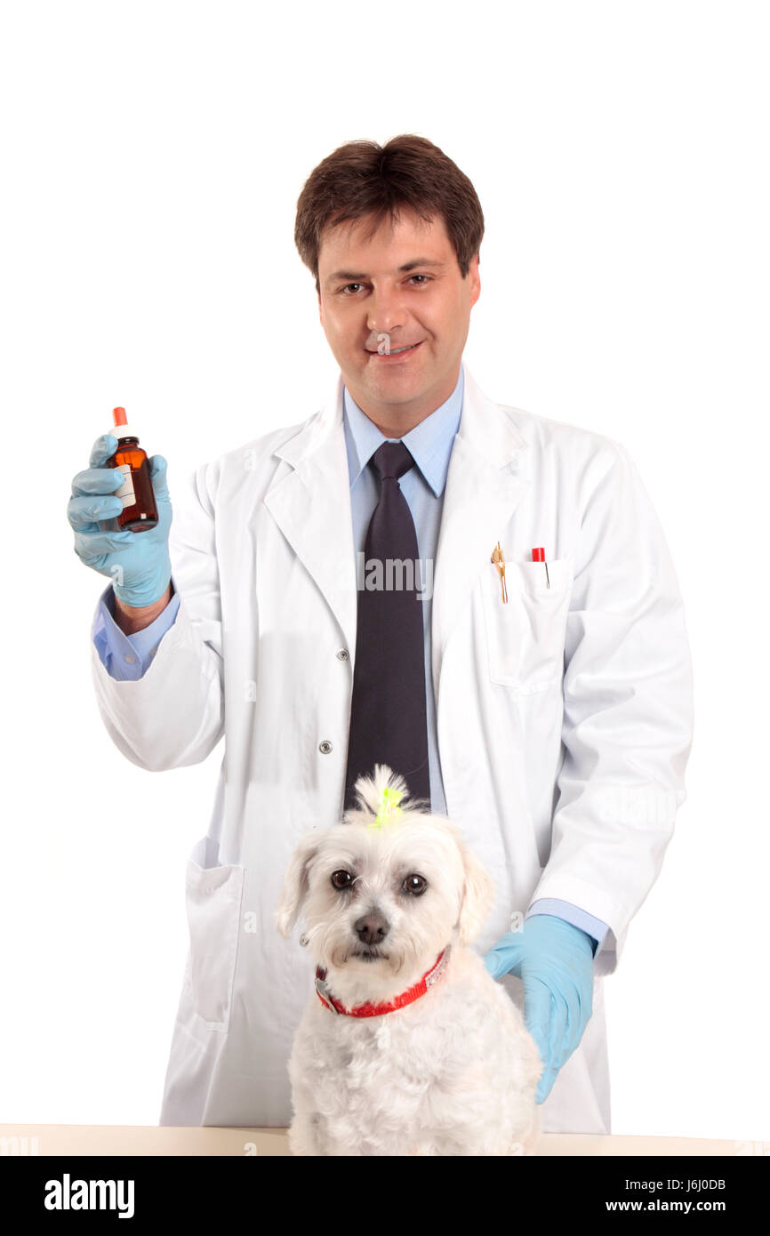 Animal drug vet hi-res stock photography and images - Alamy
