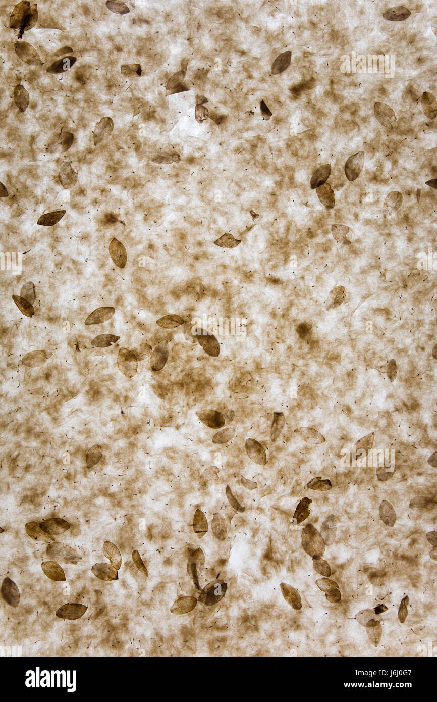 structure sheet of paper paper backdrop background texture cellulose ...