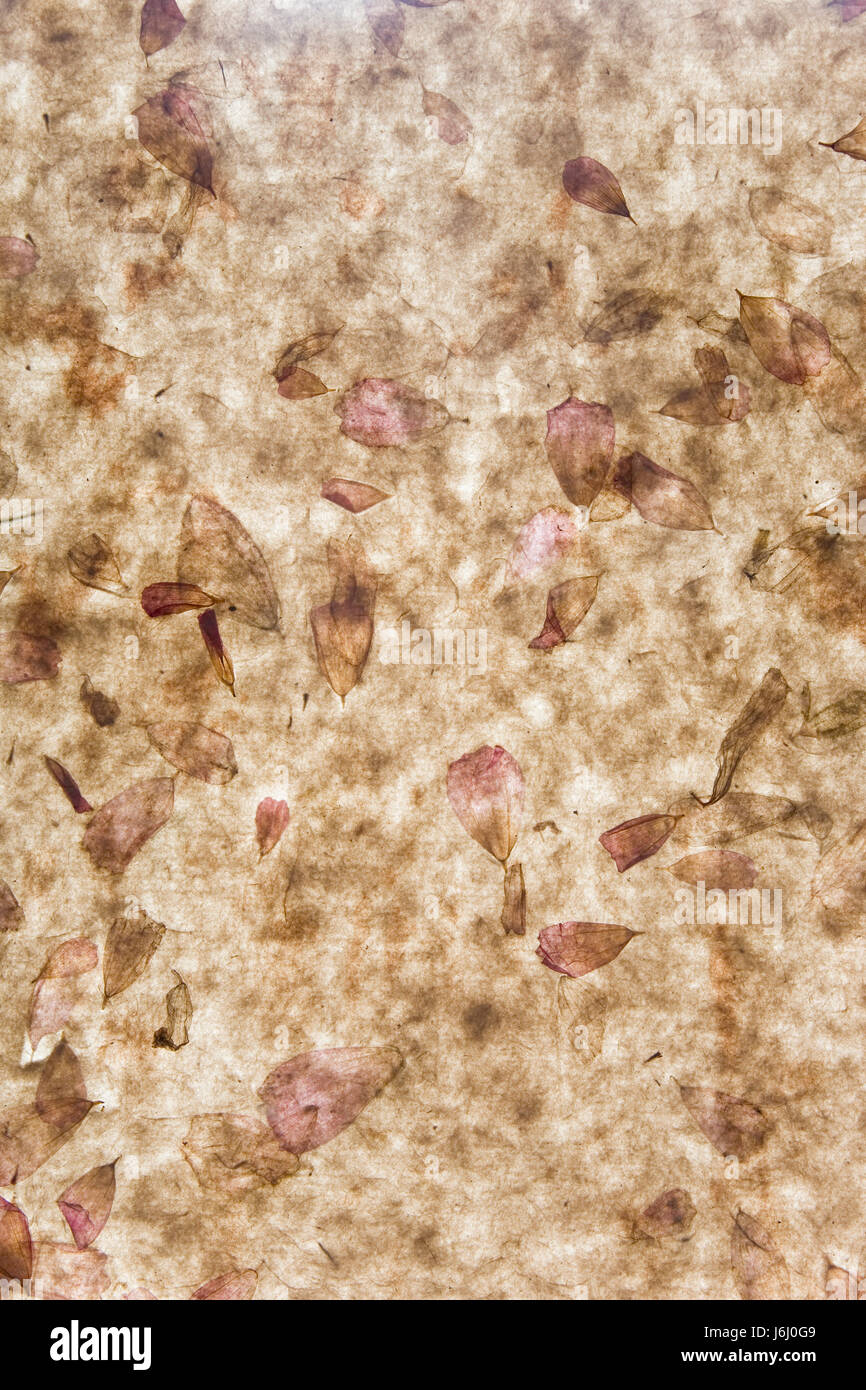 structure sheet of paper paper backdrop background texture cellulose ...